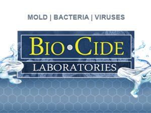 Mold Cleaning Products | Professional Mold Cleaner | BioCide Labs