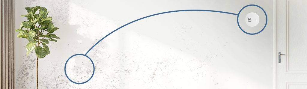 Mold Detector - WIFI Enabled Mold Monitor - BioCide Labs