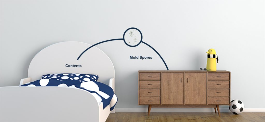 Mold Help | Find the Right Mold Product for You | BioCide Labs
